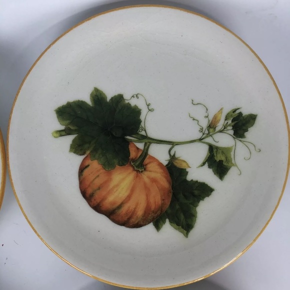 Williams Sonoma | Dining | Williams Sonoma Botanical Pumpkin Plates Set ...